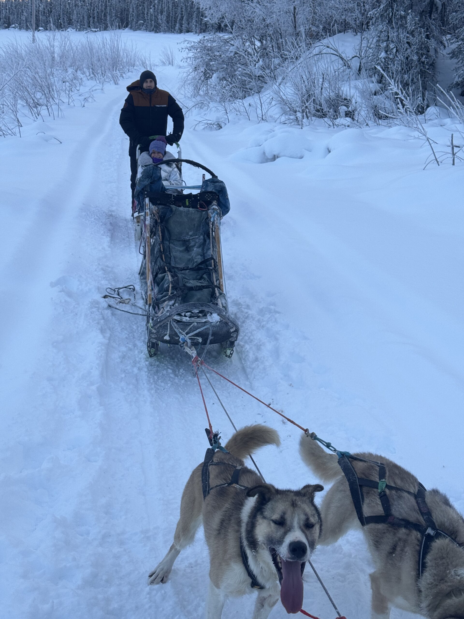 Tag sled Tour - Alaska Wilderness Adventures